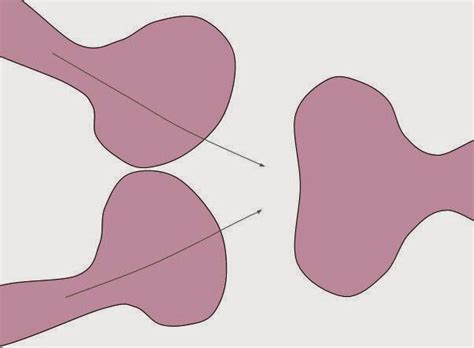 A2 Biology The Detailed Structure Of A Synapse And Of A Neuromuscular Junction Candidates