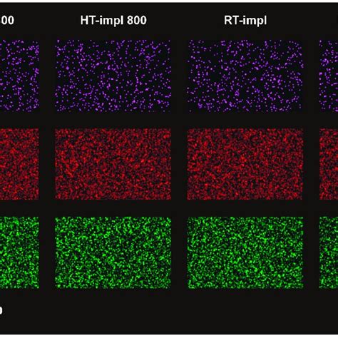 Eds Mapping Of Yb Pink Zn Red And O Green For Zno Implanted