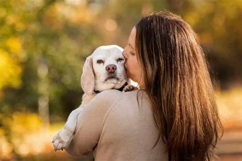 The Dog Human Bond Is A Special Subject Dog Photography