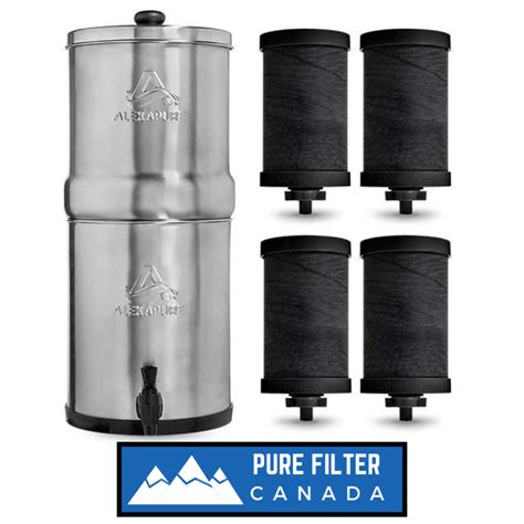 Detailed Look At Alexa Pure Water Filter
