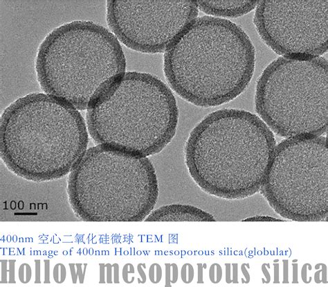 Hollow Mesoporous Silica Sio2 合成试剂 西典实验