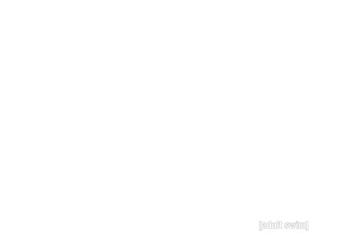 Adult Swim Screenbug 2003 13 Sd By Ndsxwii On Deviantart
