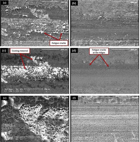 Sem Micrographs Of Wear Tracks Se And Bse Of A C And E