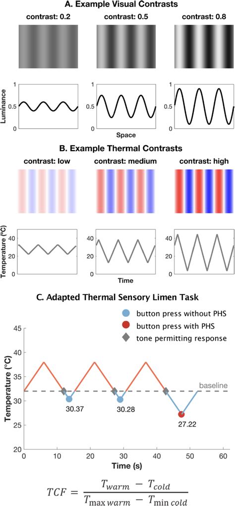Thermal Contrast Enhancement Predicts Paradoxical Heat Sensation