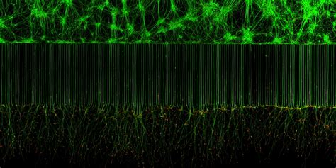 These Images Reveal A World That Cant Be Seen With The Naked Eye