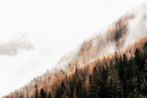 🔥 Free Download Tumblr Backgrounds Computer 5472x3648 For Your