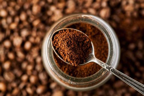 5 Utilidades Para A Borra De Café Reutilize Tenha Atitudes Sustentáveis