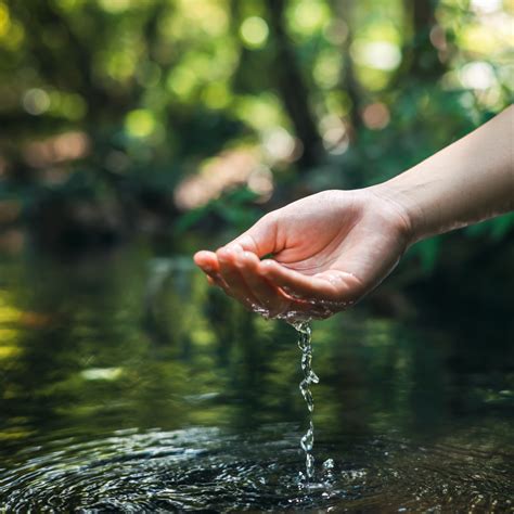 Make Wellness Hydrated Tropical Make