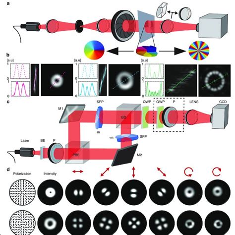 Spiral Phase Plates A Experimental Setup For Measuring The Topological Download Scientific