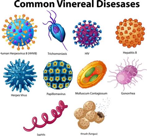 Pathology Vector Images Over 12000
