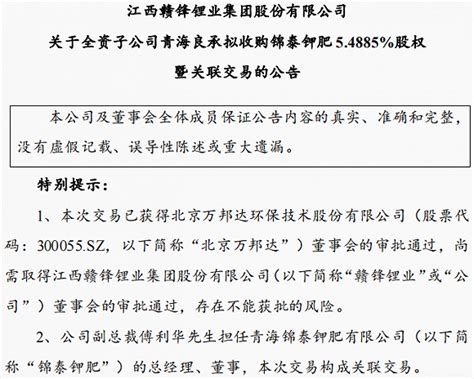 两年豪掷百亿买买买， 江西首富”能坐上 锂王”之位吗？ Jiemian Global
