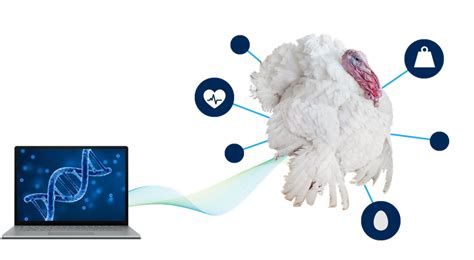 Genetic Progress Evident In The Updated Hybrid Converter Hybrid