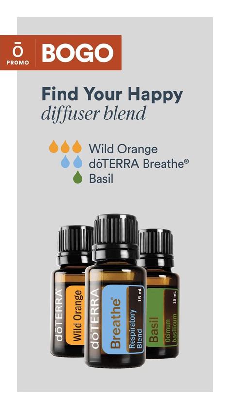 Pin By Kathy Spires On Doterra EO Ideas Essential Oil Diffuser