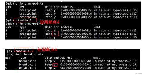 【linux工具篇】调试器gdb