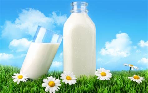 Prs Dairy