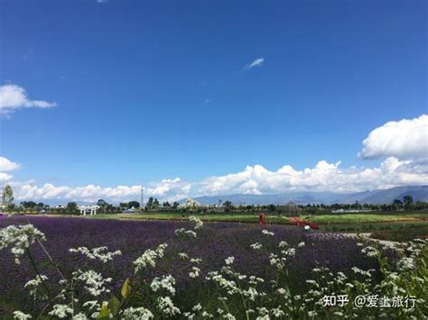 云南洱海有哪些好玩的地方，大理洱海旅游攻略 知乎