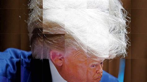 Joel Stein On Trumps Hair Deduction Can I Do That Guest Column