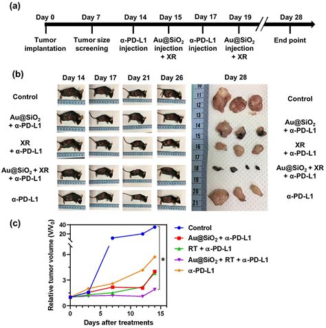 Enhancing Immunotherapy Efficacy In Glioblastoma Ijn