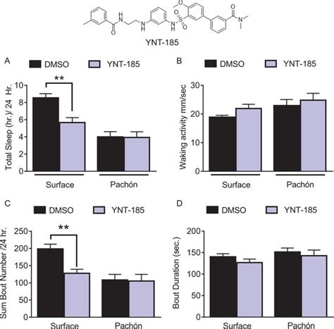 Figures And Data In Hypocretin Underlies The Evolution Of Sleep Loss In