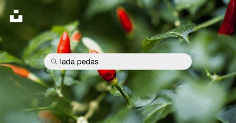 Gambar Lada Pedas Unduh Gambar Gratis Di Unsplash