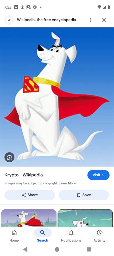 Franklin Videography Nelvana Wiki Fandom