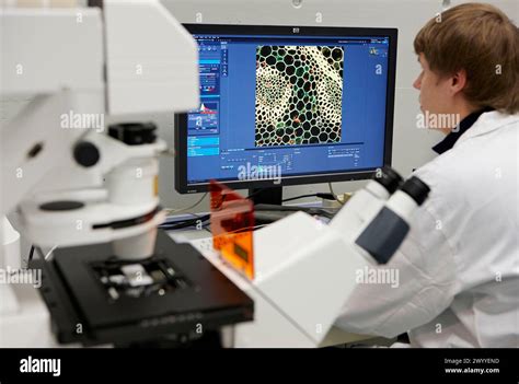 Analying Fluorescent Labelled Samples Characterization Laboratory