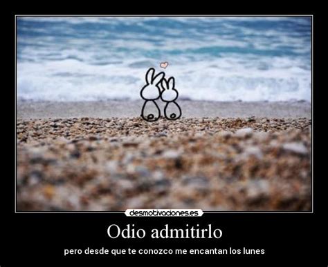 Odio Admitirlo Desmotivaciones