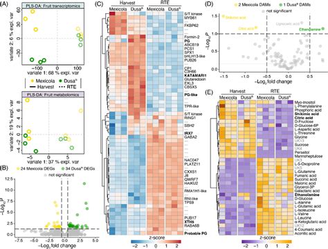 Figure 5 From A First Omics Data Integration Approach In Hass Avocados To Evaluate Rootstock