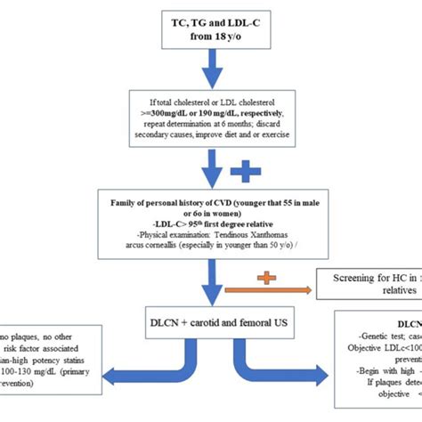 Scheme Proposed About How To Manage Severe Primary Hypercholesterolemia Download Scientific