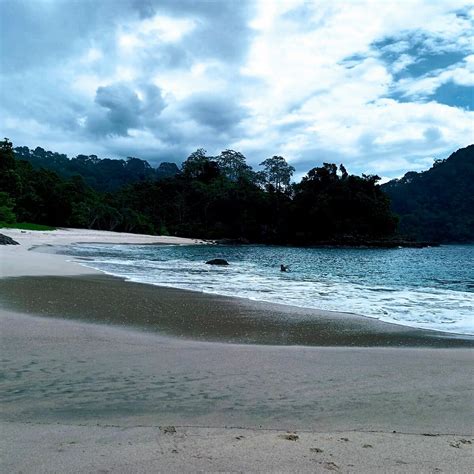 Java Turtle Homestay Prices And Guest House Reviews Pesanggaran