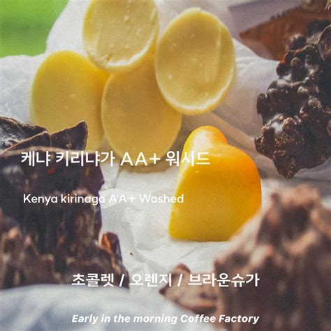 싱글오리진 케냐 키리냐가 Aa 워시드 200g 이른아침커피공장 이른아침커피공장