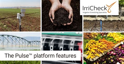 Irricheck On Linkedin Irrigation Water Farming Agriculture