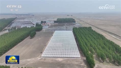 全力保障“三夏”生产 筑牢粮食压舱石国内新闻湖南红网新闻频道