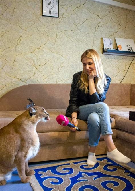 696 Best Spittin Images On Pholder Go Commit Die Superstonk And