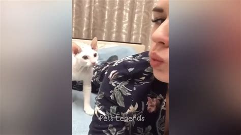 Funniestanimals2024😂newfunnycatsanddogsvideos😻🐶part1