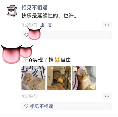 老哥们帮忙分析一下，这种只是把我当朋友了还是有点缘分？ Nga玩家社区