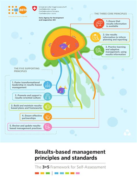 35 Framework Of Rbm Principles And Standards Jellyfish Model Pdf
