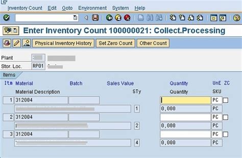 Systems In Seconds INPUT INVENTORY COUNT IN SAP MM MODULE