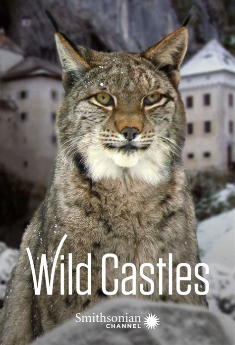 Wild Castles Tv Time