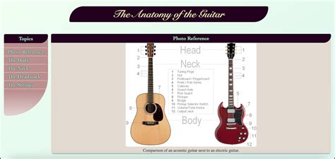 GitHub DanCQ The Anatomy Of The Guitar A Documentation Page Of The Individual Parts Of The