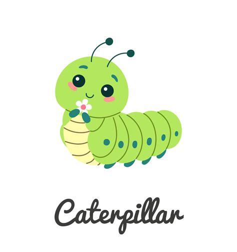 Cute Insect Caterpillar Cartoon Character Vector Illustration 36888130