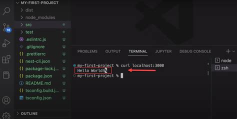 Tutorial How To Create Your First Nestjs Project