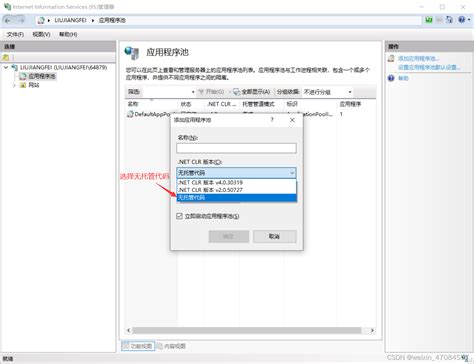 Net6项目部署iis步骤iis Net6 Csdn博客