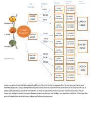 Decision Tree Matrix Assignment Docx Max Investment X Probability EP