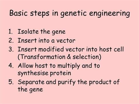 Genetic Engineering Flashcards Quizlet