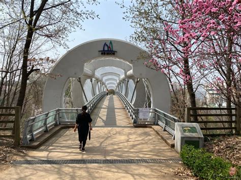 서초구 서리풀공원 누에다리 몽마르뜨 언덕 고속터미널 산책 네이버 블로그