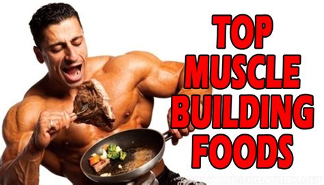 Top Muscle Building Foods Project Next