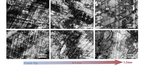 Tem Characterizations At The Adjacent Area Of The Crack Tip For The Cr