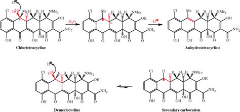 Tetracycline Antibiotics Basicmedical Key