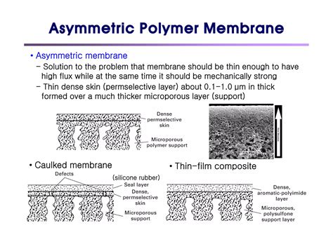 Membrane Separation Ppt